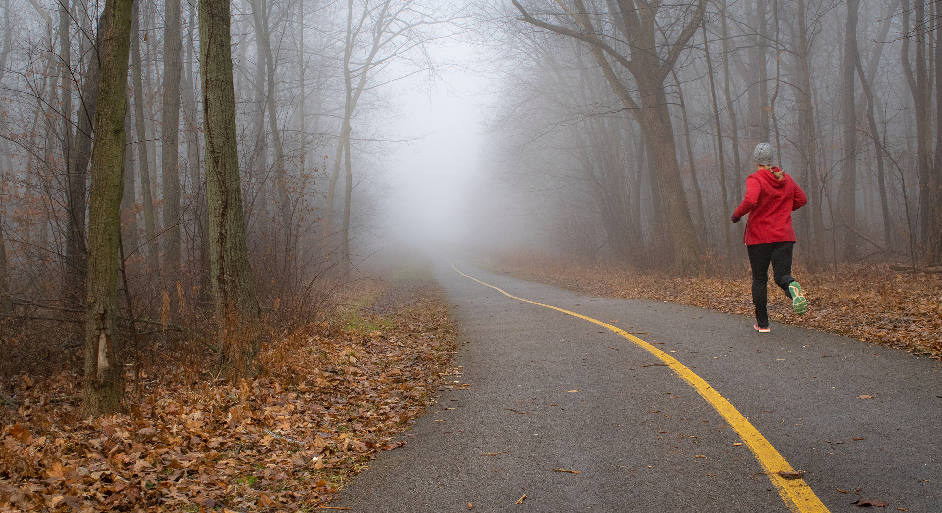 Run for the forest preserves - Friends of the Forest Preserves